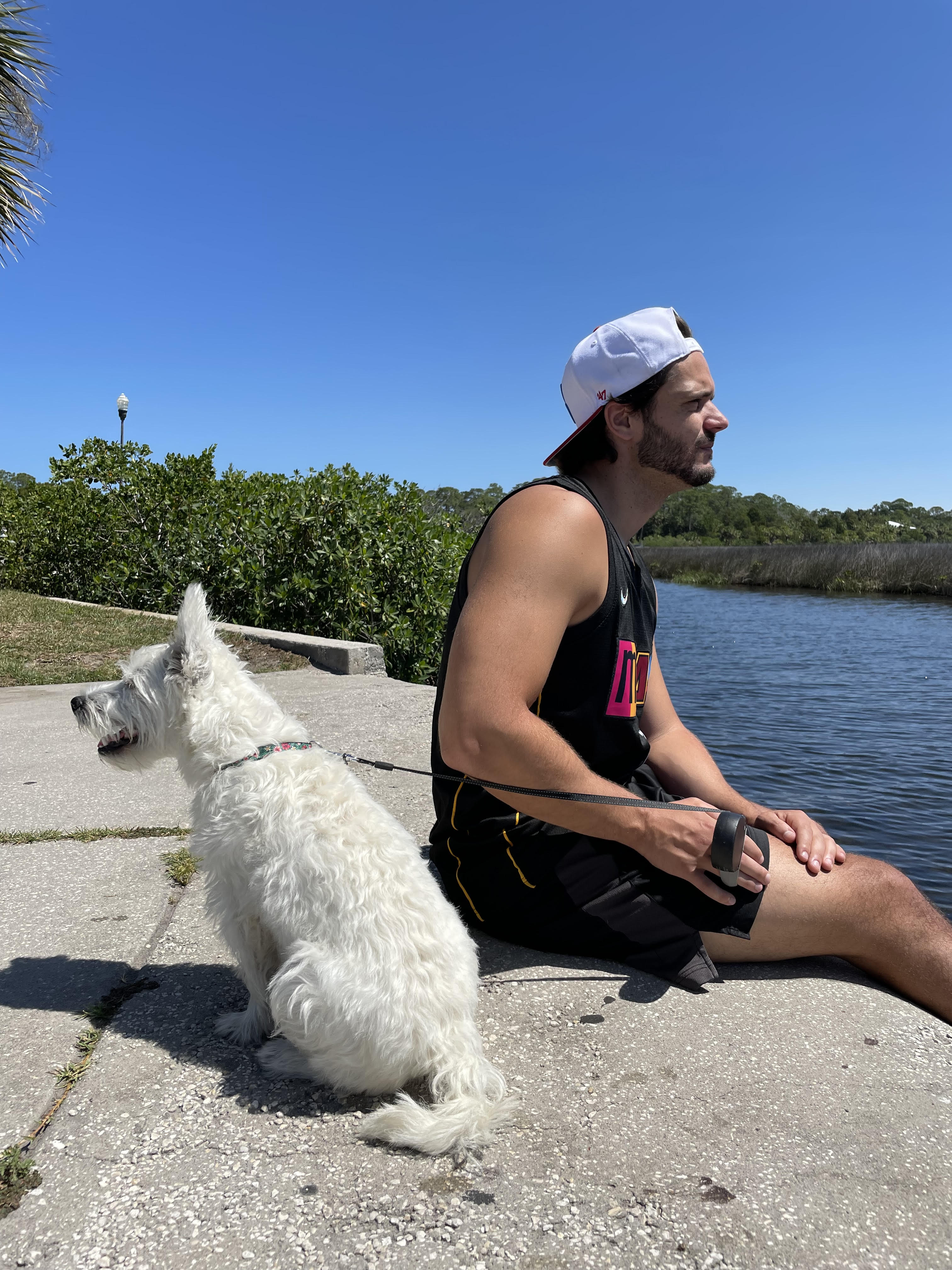 Poe Boy the Dog - Dogsite