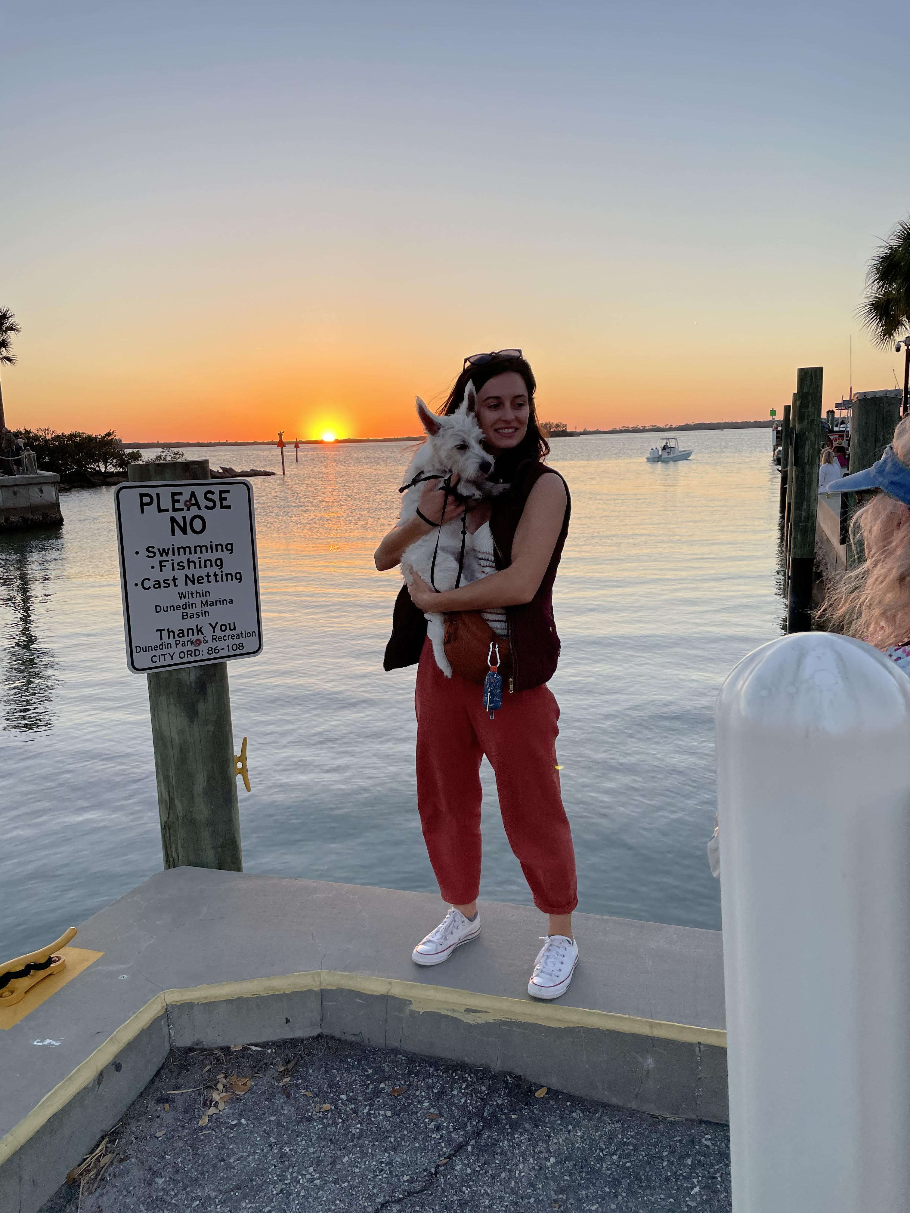 Poe Boy the Dog - Dogsite